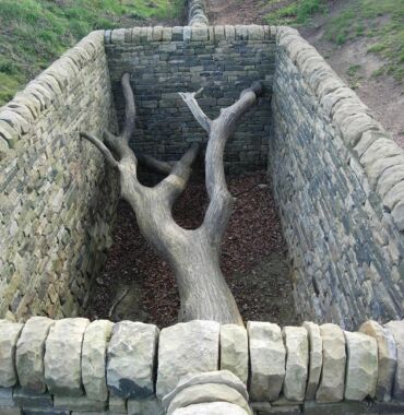 Andy Goldsworthy: ephemeral natural land art installations