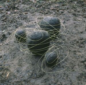 Andy Goldsworthy: ephemeral natural land art installations