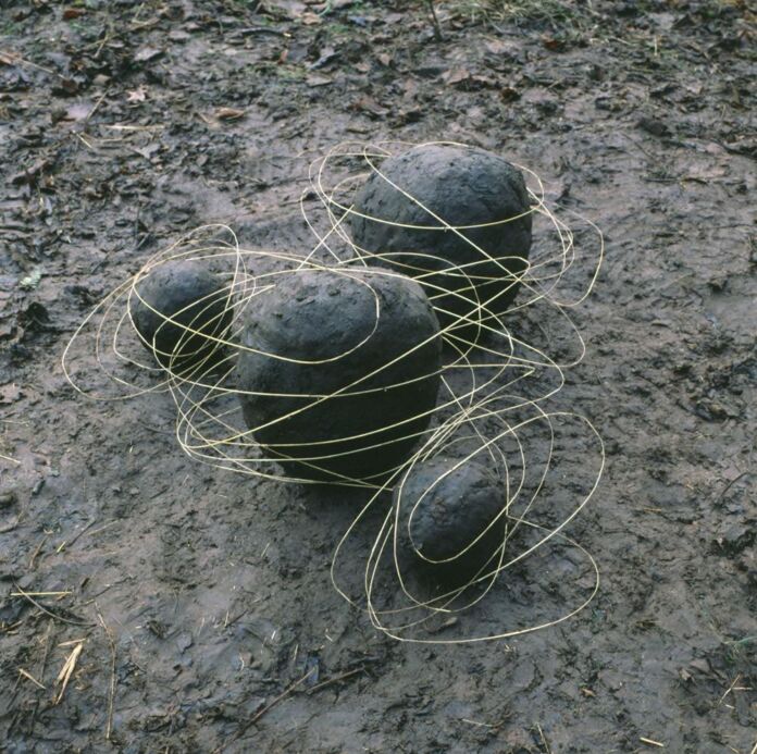 The outstanding and magical land art of Andy Goldsworthy — Visualflood ...