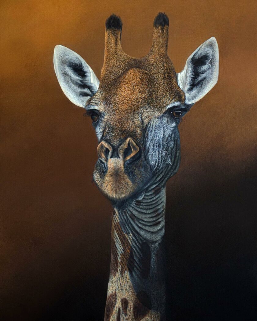 Sophie Green: hyper-realistic animal portrait paintings