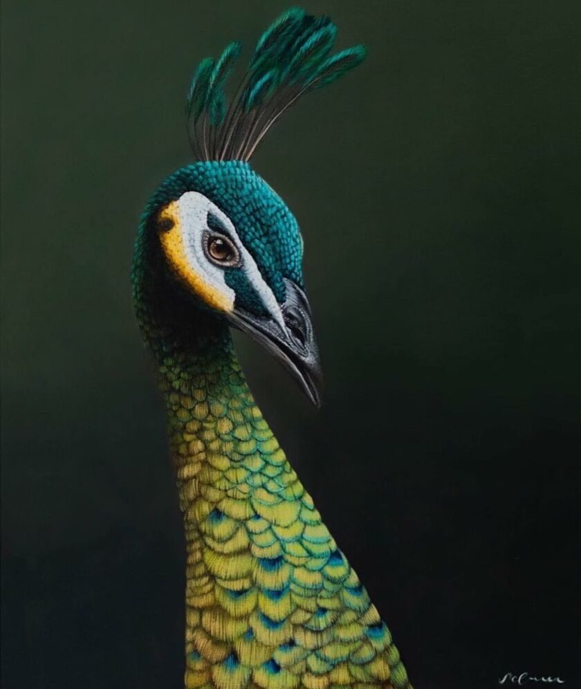 Sophie Green: hyper-realistic animal portrait paintings