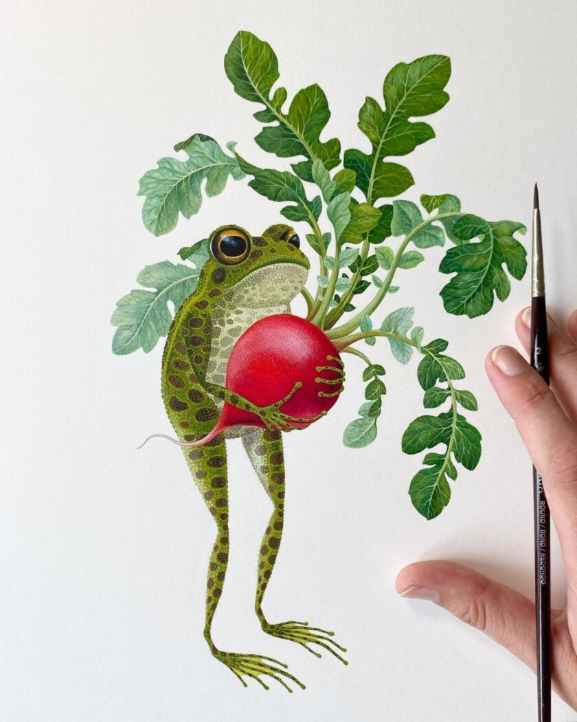 Georgina Taylor: surreal nature-inspired watercolor illustrations