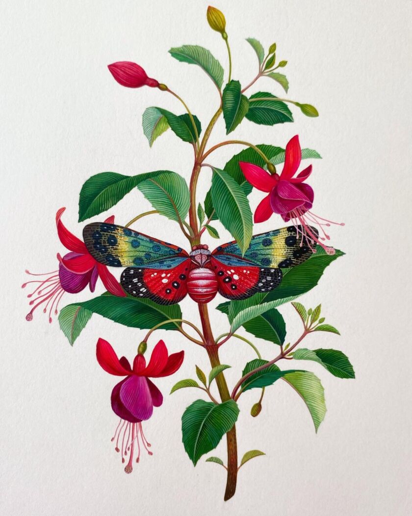 Georgina Taylor: surreal nature-inspired watercolor illustrations