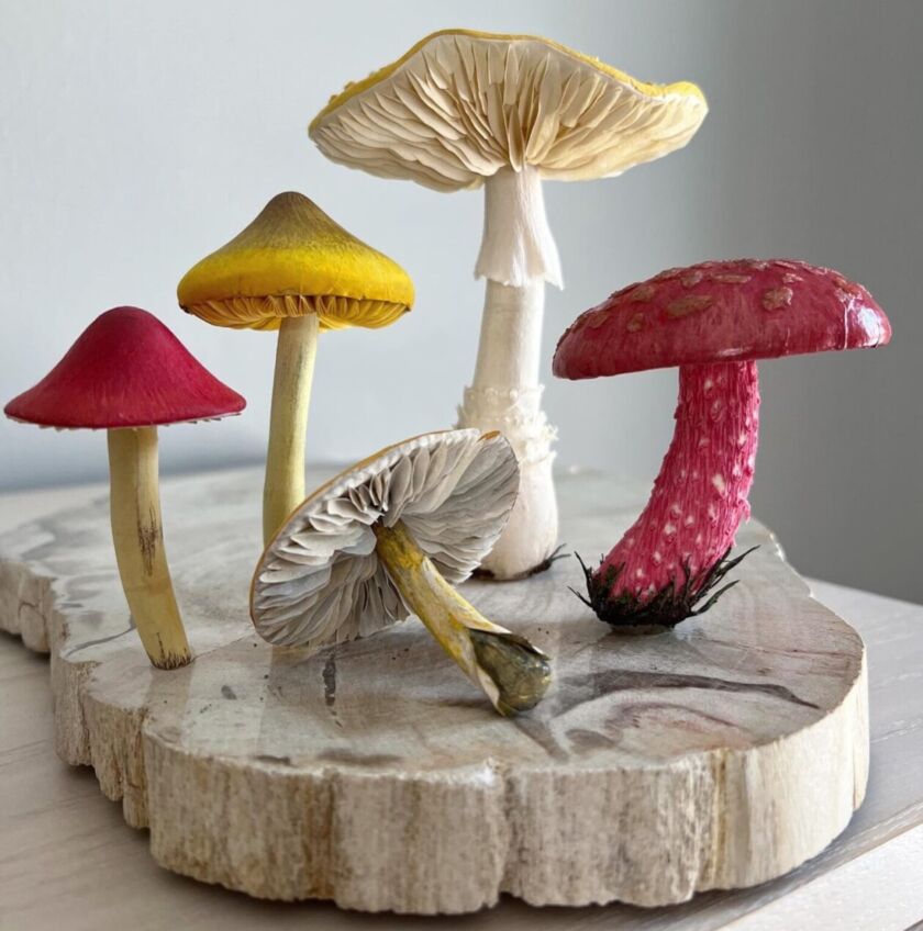 Ann Wood: delicate paper nature sculptures