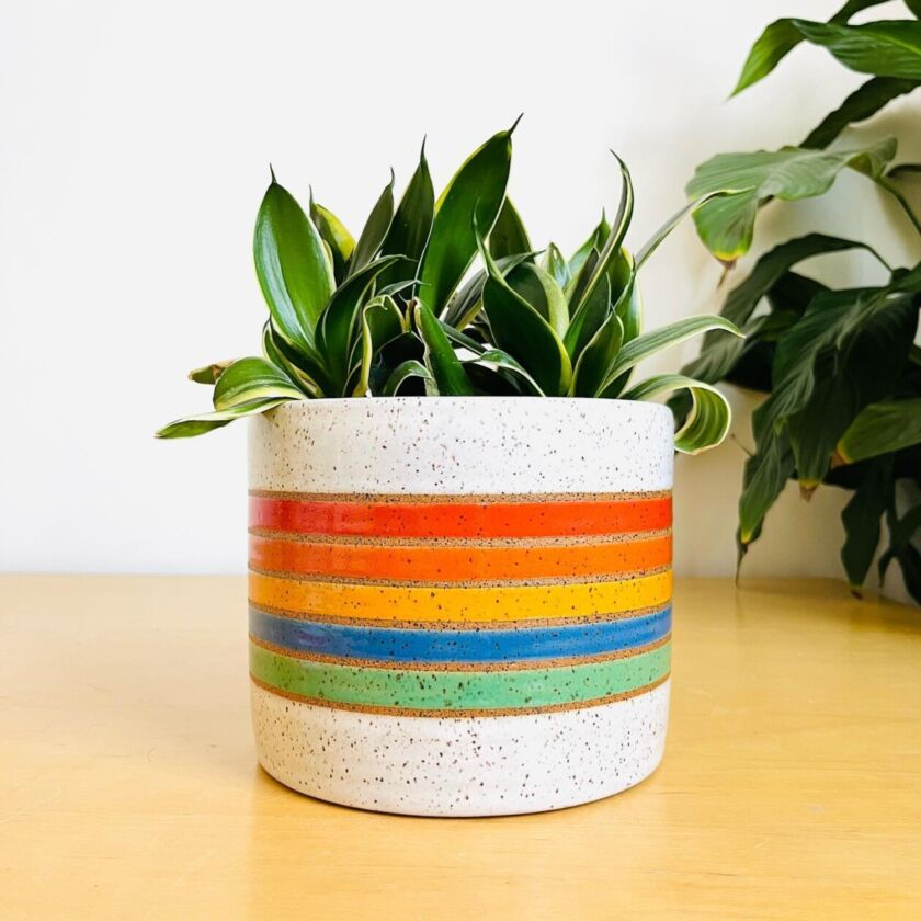 Liz Cohen: vibrant multicolored ceramic bowls and vases