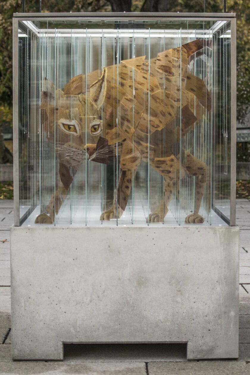 Thomas Medicus: anamorphic glass sculpture on nature