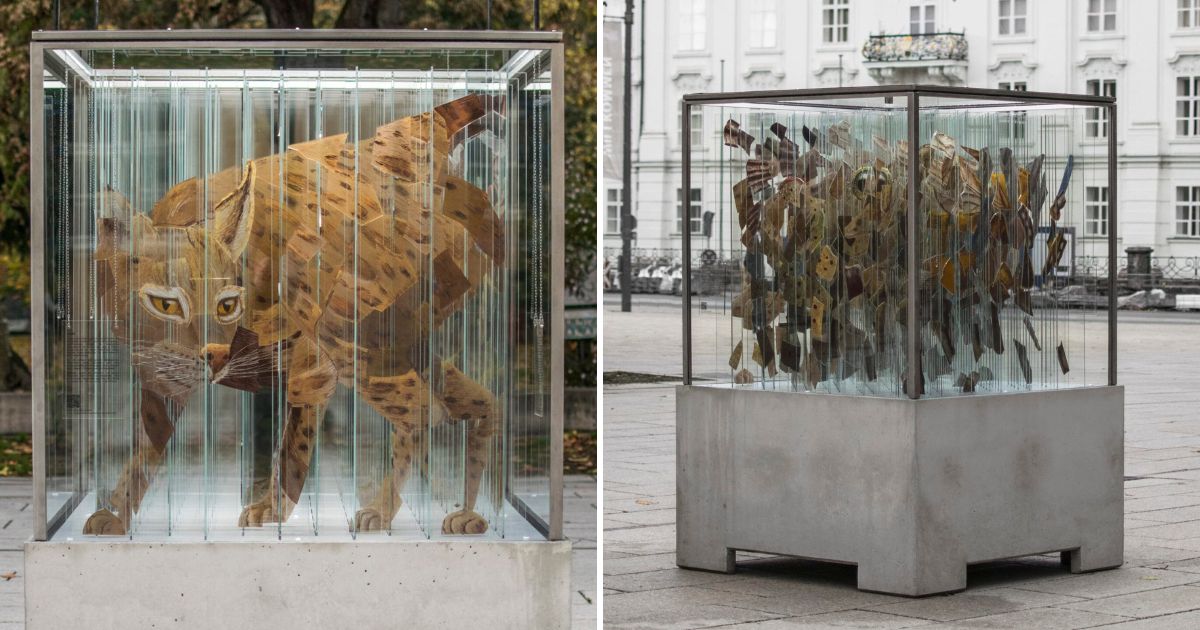 Thomas Medicus's anamorphic glass sculpture: a reflection on human ...