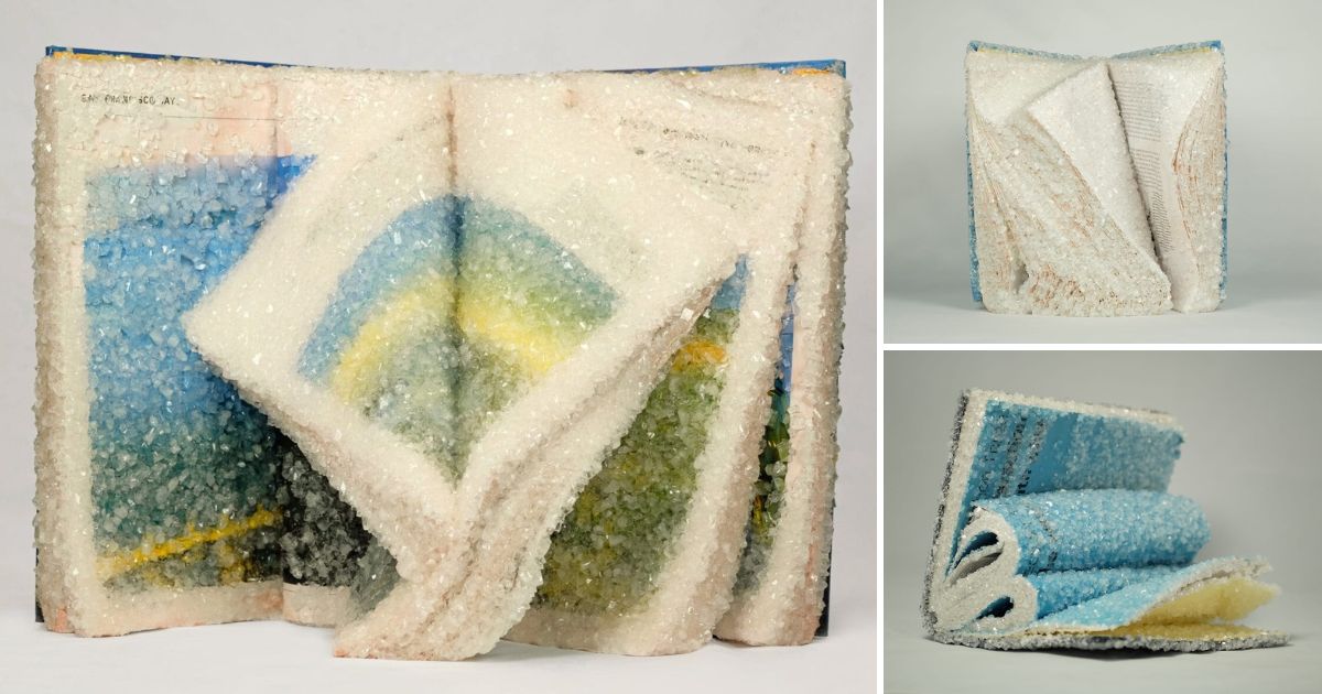 Frozen words: exploring Alexis Arnold’s crystallized book sculptures ...