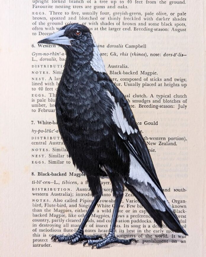 Craig Williams: birds painted on vintage book pages