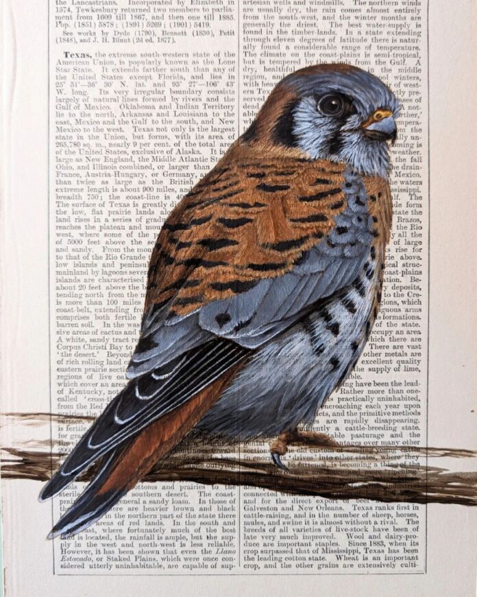 Craig Williams: birds painted on vintage book pages