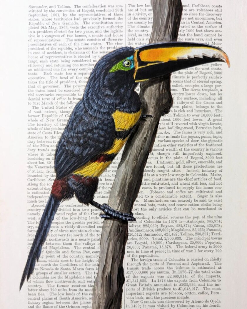 Craig Williams: birds painted on vintage book pages