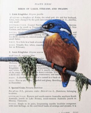 Craig Williams: birds painted on vintage book pages