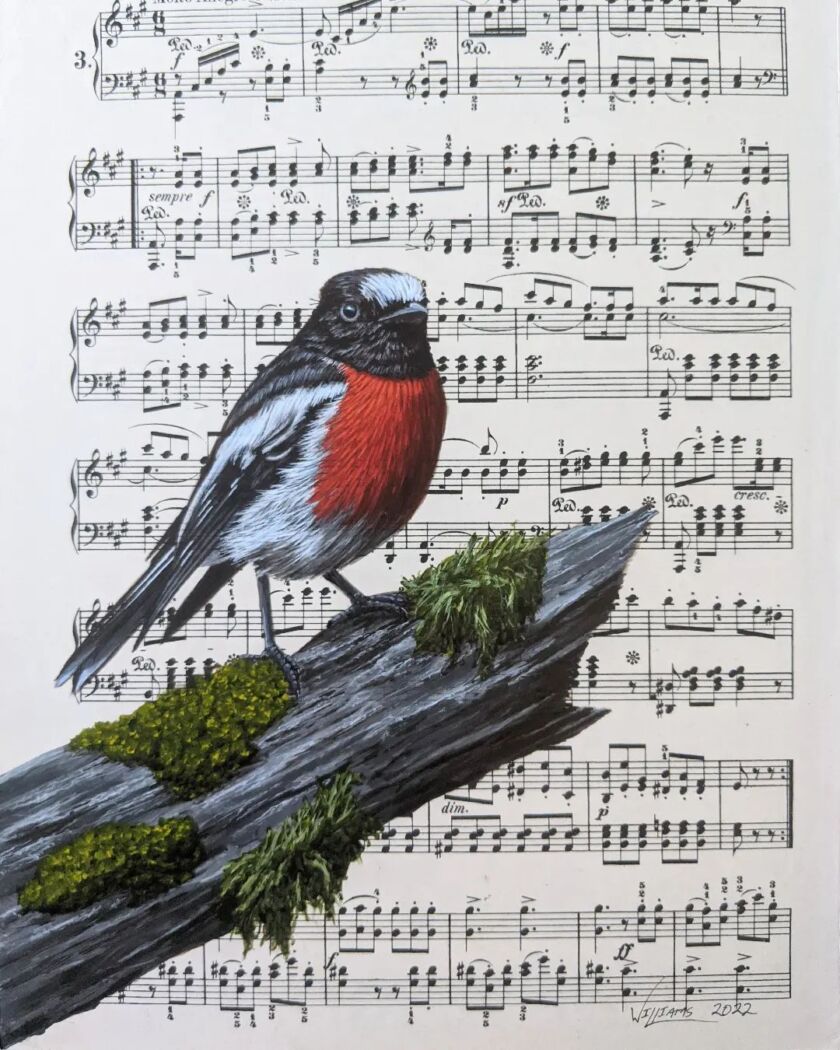 Craig Williams: birds painted on vintage book pages