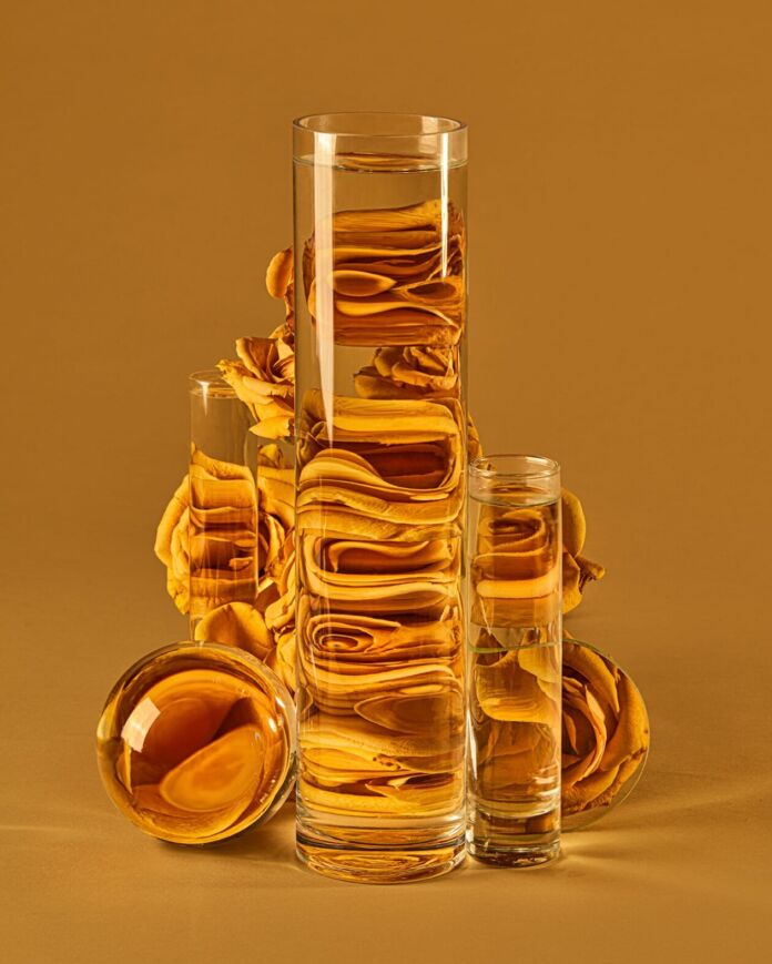 Suzanne Saroff: florals distorted through water vessels