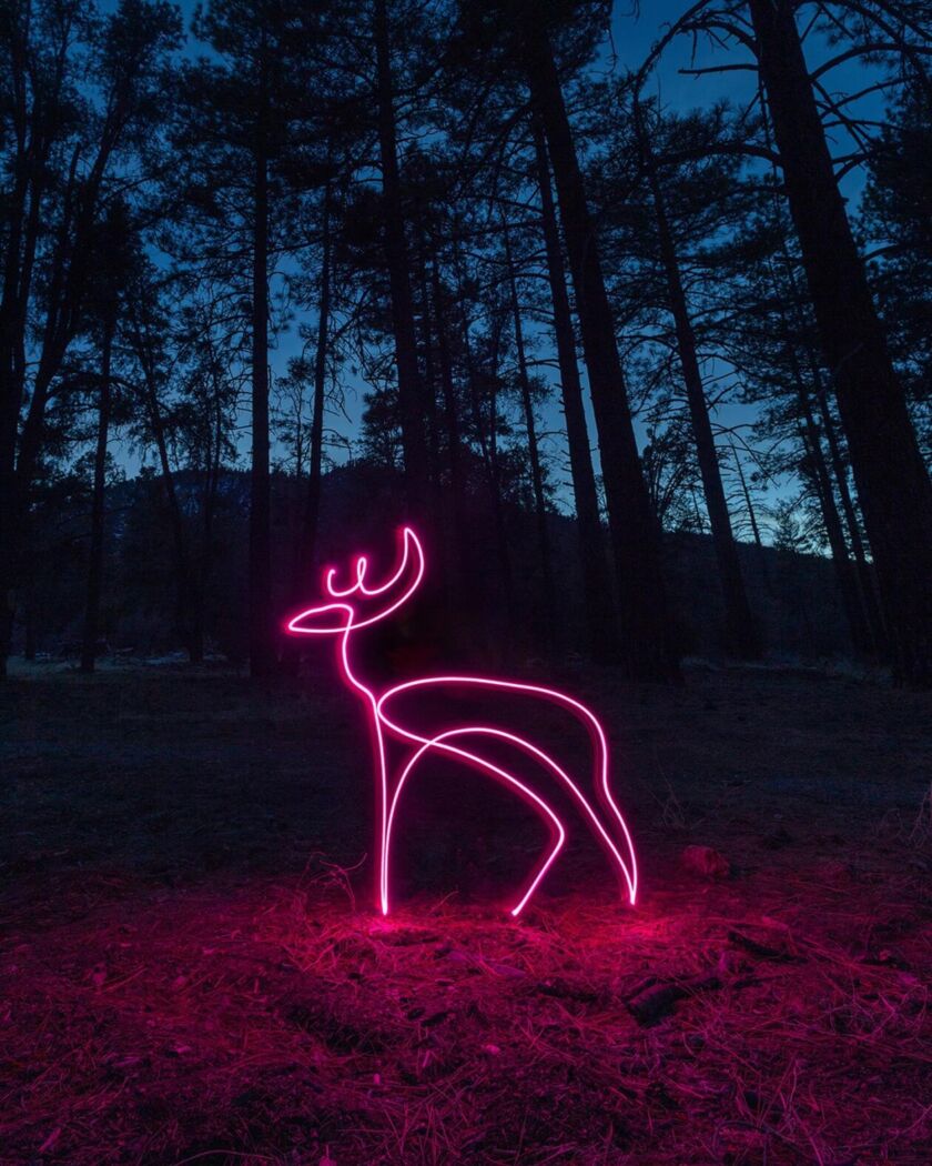 Dariustwin: hypnotizing light painting photography