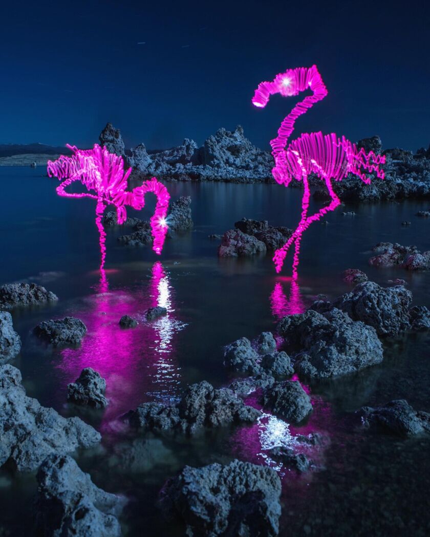 Dariustwin: hypnotizing light painting photography