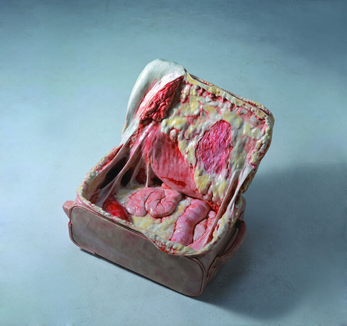 Cao Hui reveals the visceral internal side of objects as if they were ...