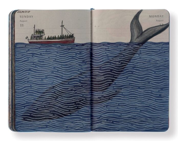 Pep Carrio: thousands of daily diary drawings series
