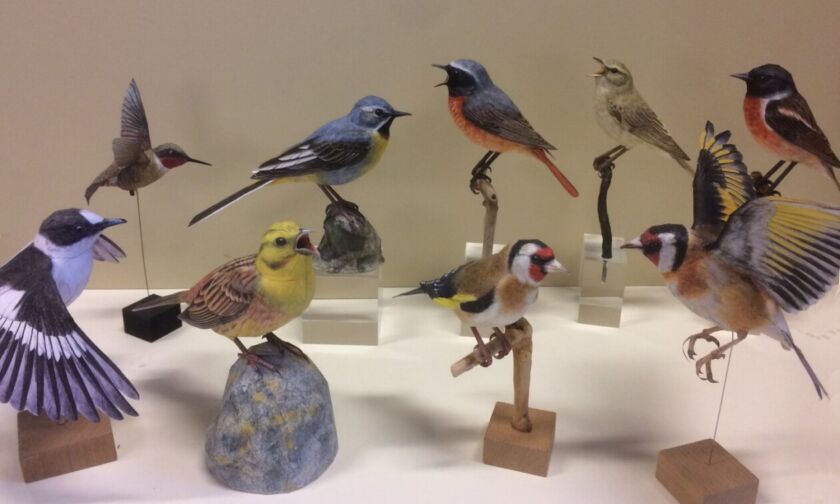 Johan Scherft: hyper-realistic paper and watercolor bird art