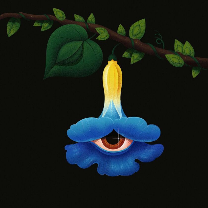 Ana Miminoshvili: surreal eyes peering from nature art