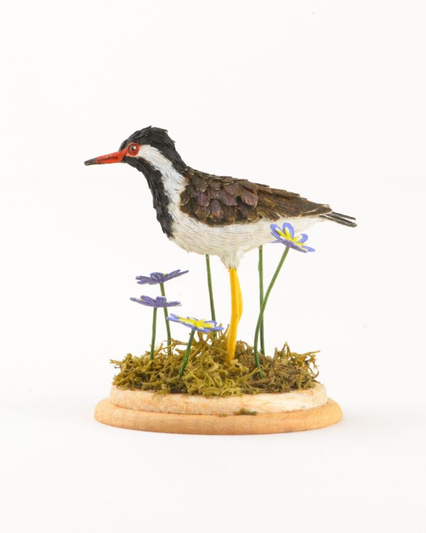 Nayan and Venus: miniature bird paper sculptures