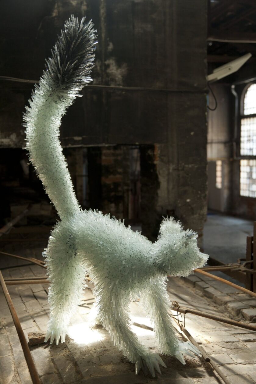 Shattered glass animal sculptures by Polish artist Marta Klonowska ...