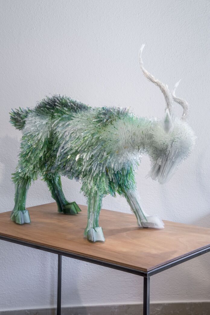 Marta Klonowska: shattered glass animal sculptures
