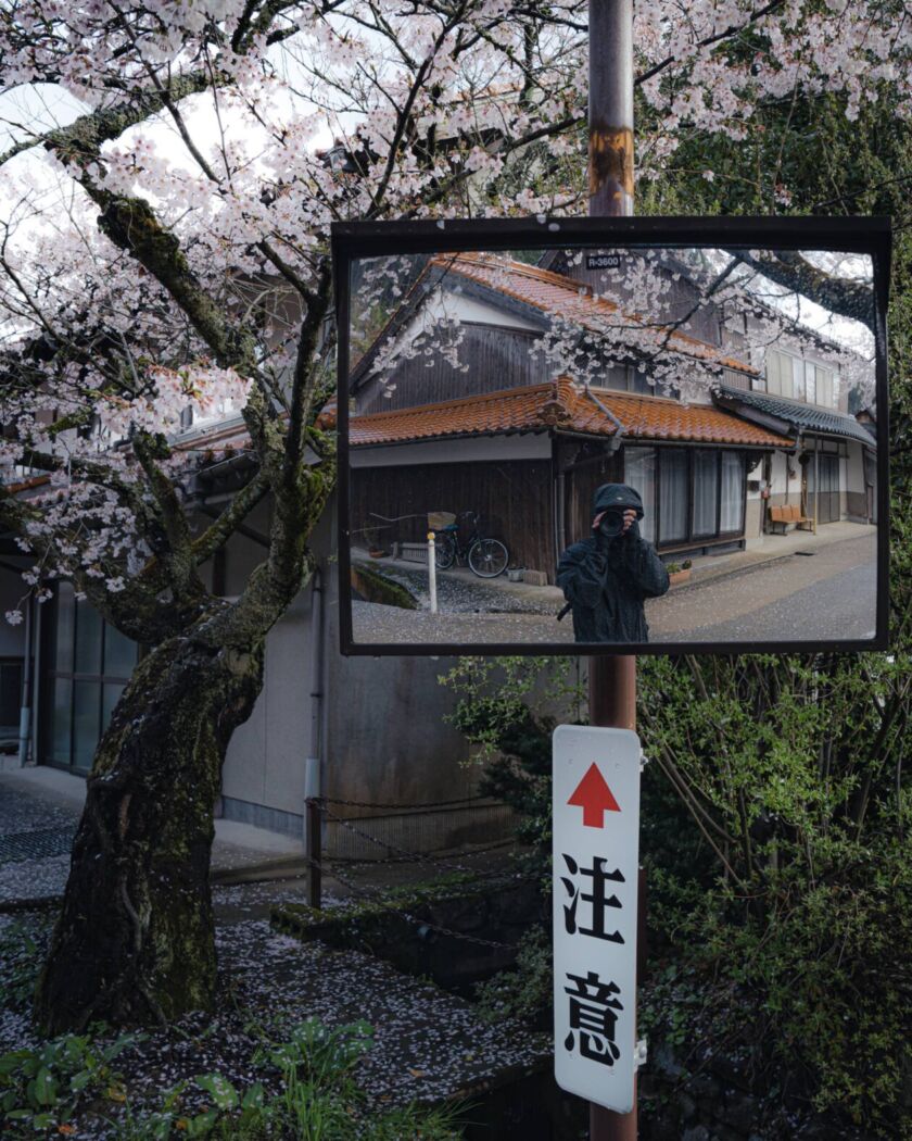 Hisa Matsumura: Spring Japan cherry tree urban photography