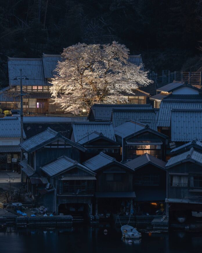 Hisa Matsumura: Spring Japan cherry tree urban photography