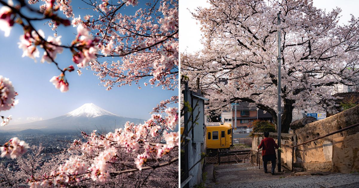 Spring in Japan: a fascinating urban photography series highlighting ...