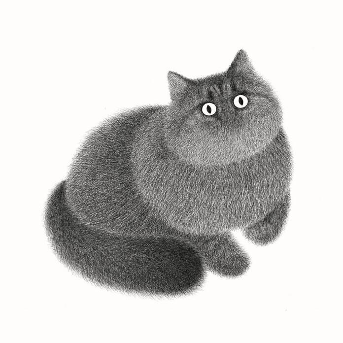Kamwei Fong: monochromatic cat illustrations