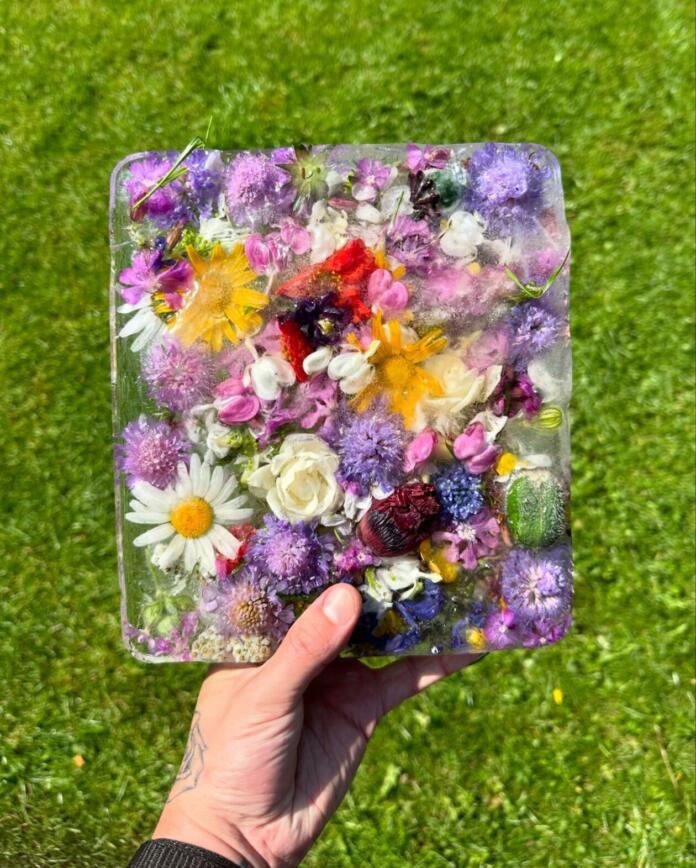 Blooms in focus: the captivating floral artistry of Joe Horner ...