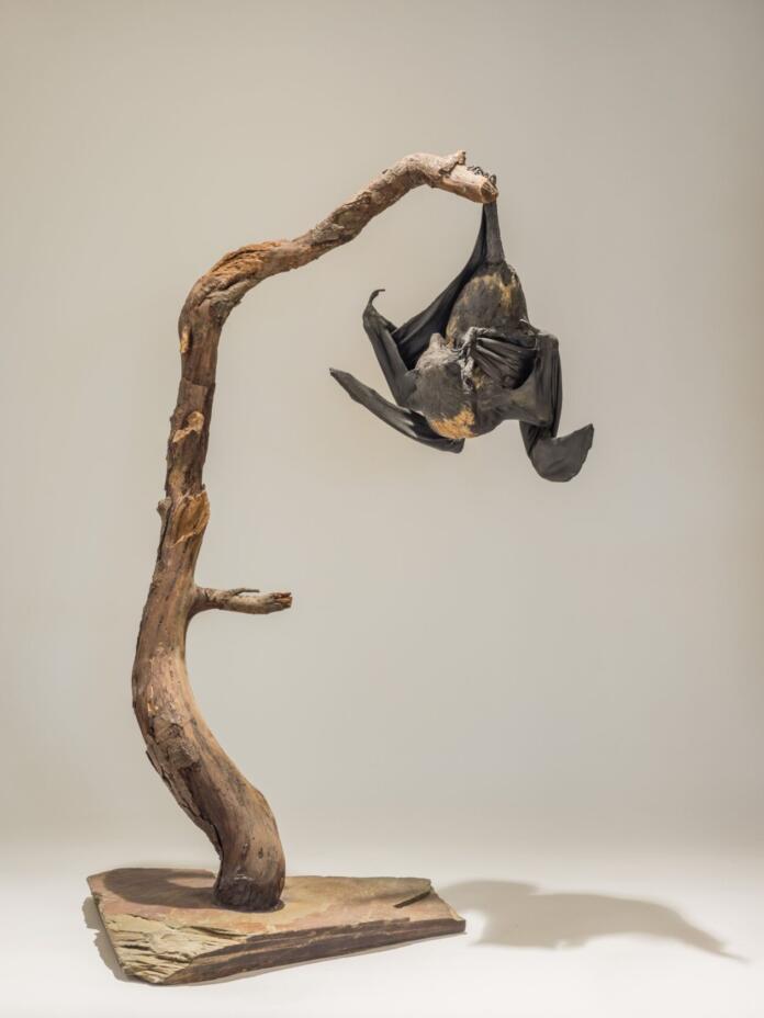 The essence of wildlife: Nick Mackman’s sculptural symphony ...