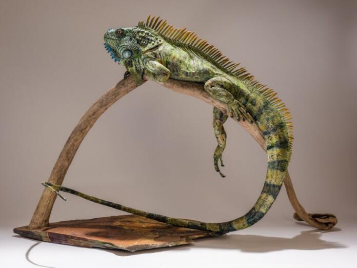 The essence of wildlife: Nick Mackman’s sculptural symphony ...