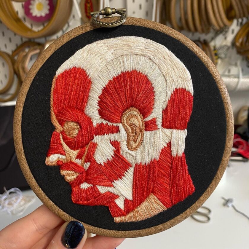 Amber Griffiths: precise anatomical embroidery