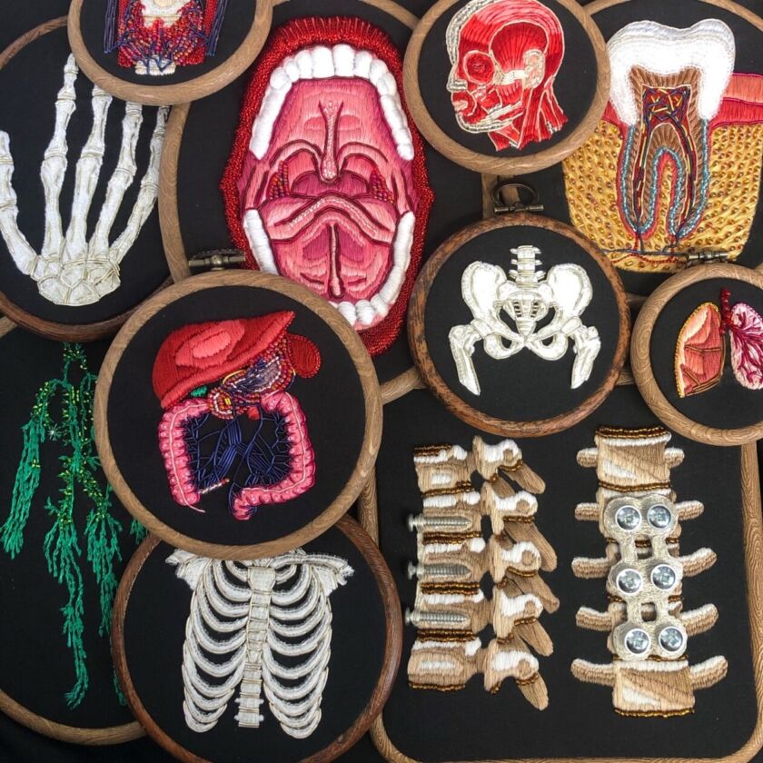 Amber Griffiths: precise anatomical embroidery