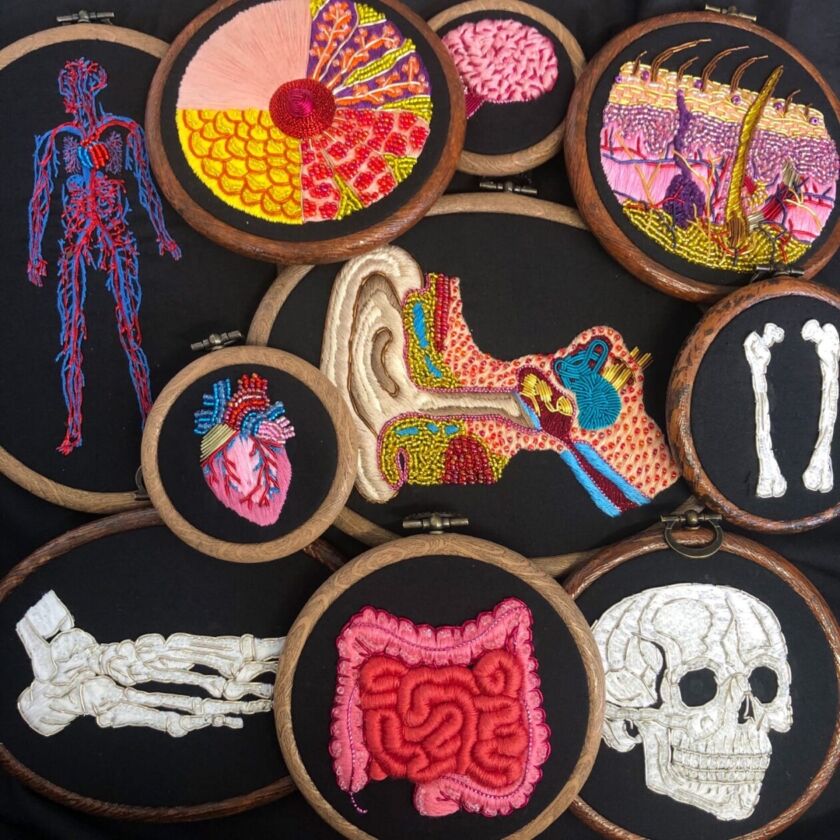 Amber Griffiths: precise anatomical embroidery