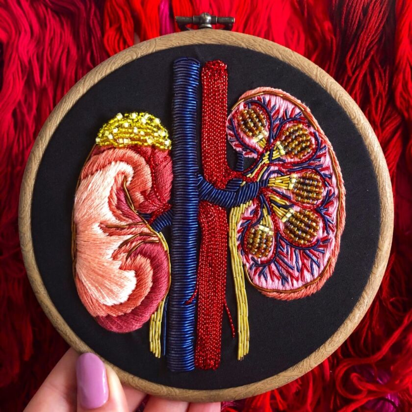 Amber Griffiths: precise anatomical embroidery