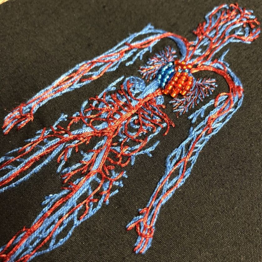 Amber Griffiths: precise anatomical embroidery