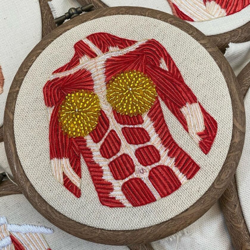 Amber Griffiths: precise anatomical embroidery