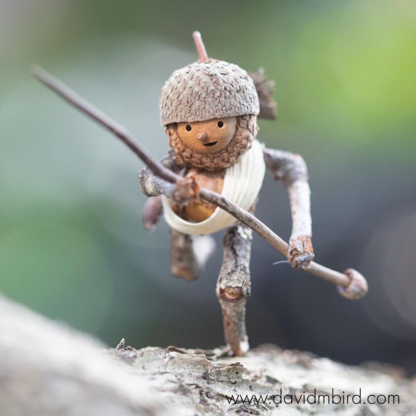 David Bird: charming hand-carved forest creature sculptures