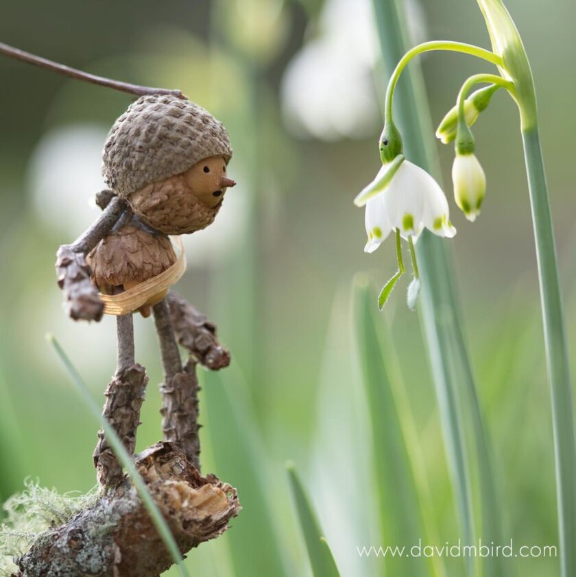David Bird: charming hand-carved forest creature sculptures