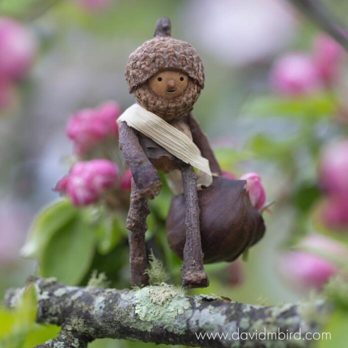 Charming forest creatures: the world of Becorns by David Bird ...