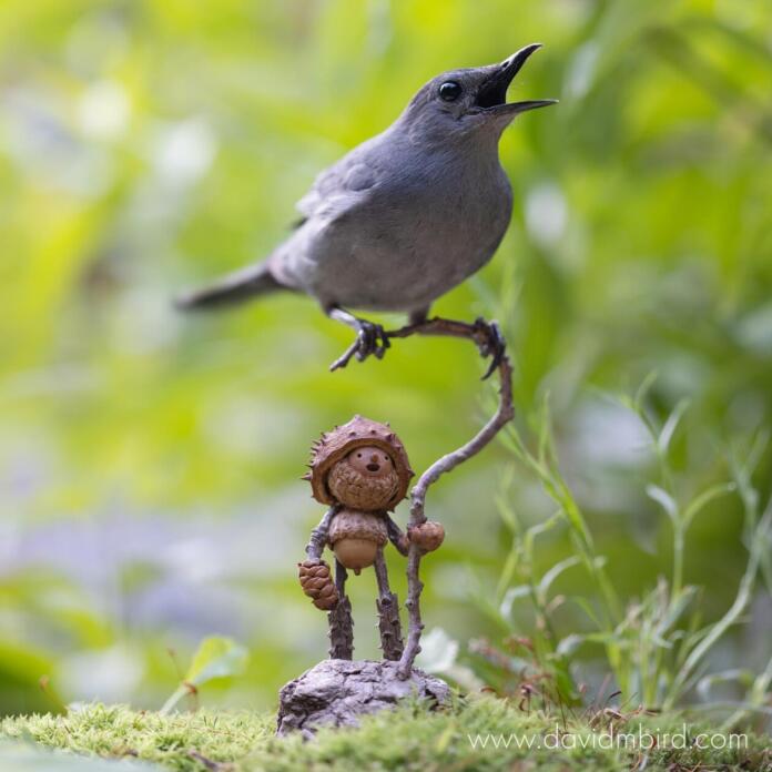 Charming forest creatures: the world of Becorns by David Bird ...