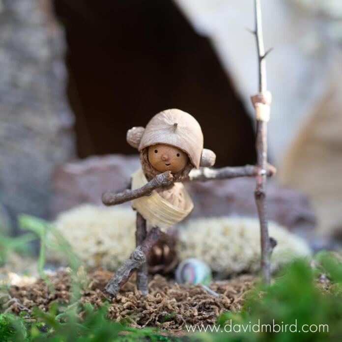 Charming forest creatures: the world of Becorns by David Bird ...