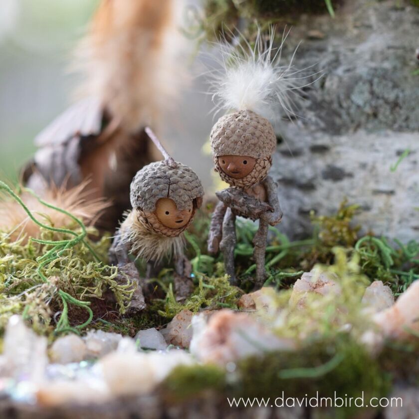 Charming forest creatures: the world of Becorns by David Bird ...