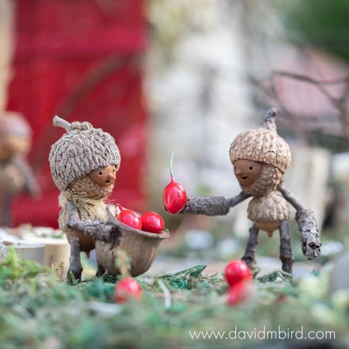 Charming forest creatures: the world of Becorns by David Bird ...