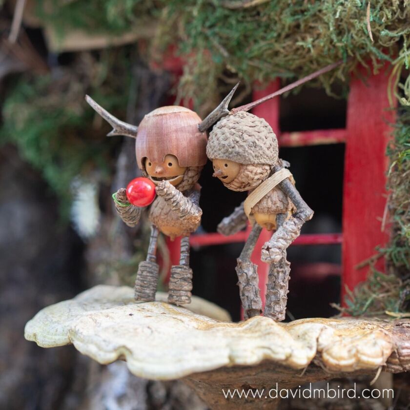 Charming forest creatures: the world of Becorns by David Bird ...