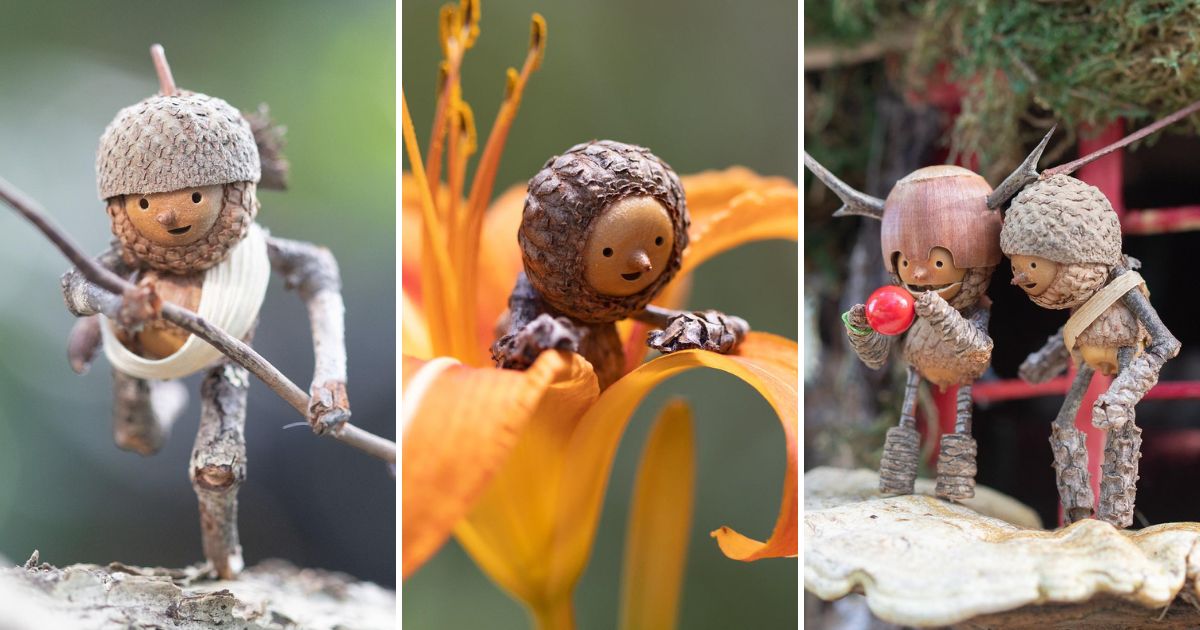 Charming forest creatures: the world of Becorns by David Bird ...