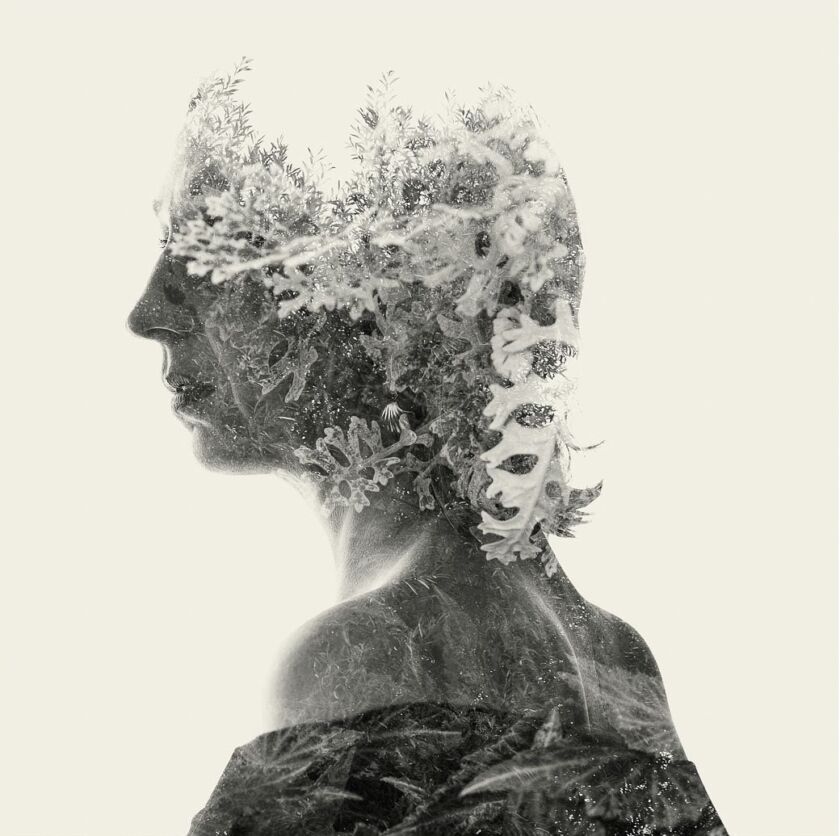 Nature's embrace: how Christoffer Relander's double-exposures blur the ...